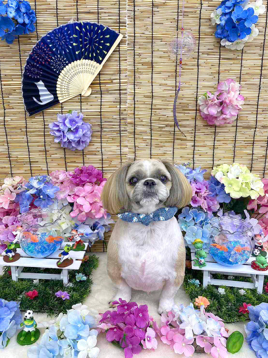 IMG_0277 – トリミングスタジオMOMOログ